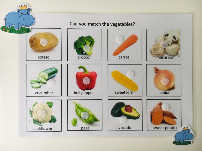 Vegetable Matching Vegetable Game Flash Cards Learning - Etsy
