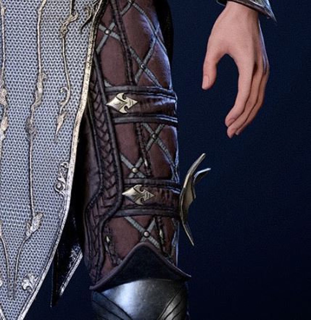 Baldur's Gate 3 BG3 Elven Chain Breastplate Armour +2 Legging Strap ...