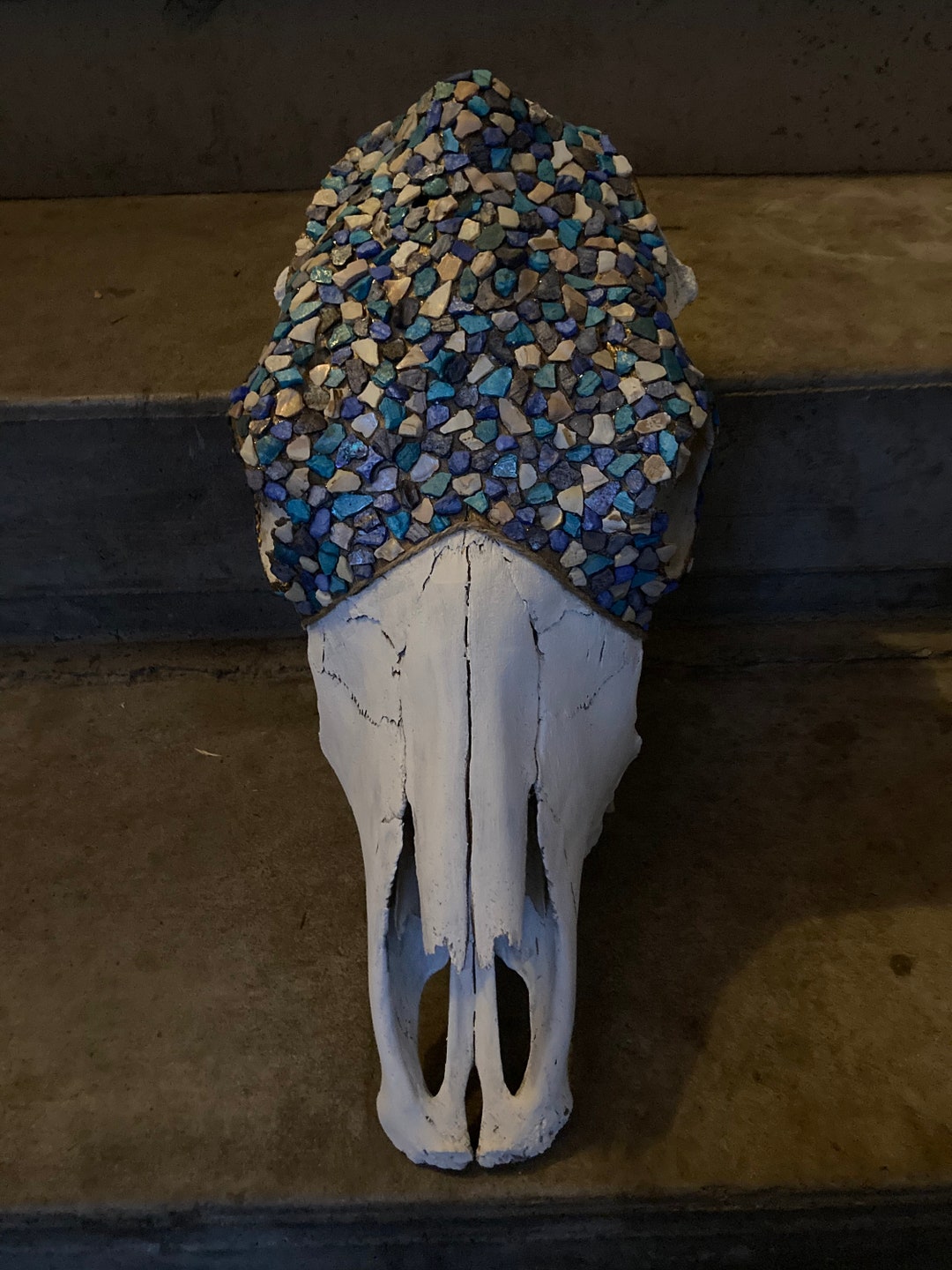 Decorated, Authentic Cow Skull - Etsy