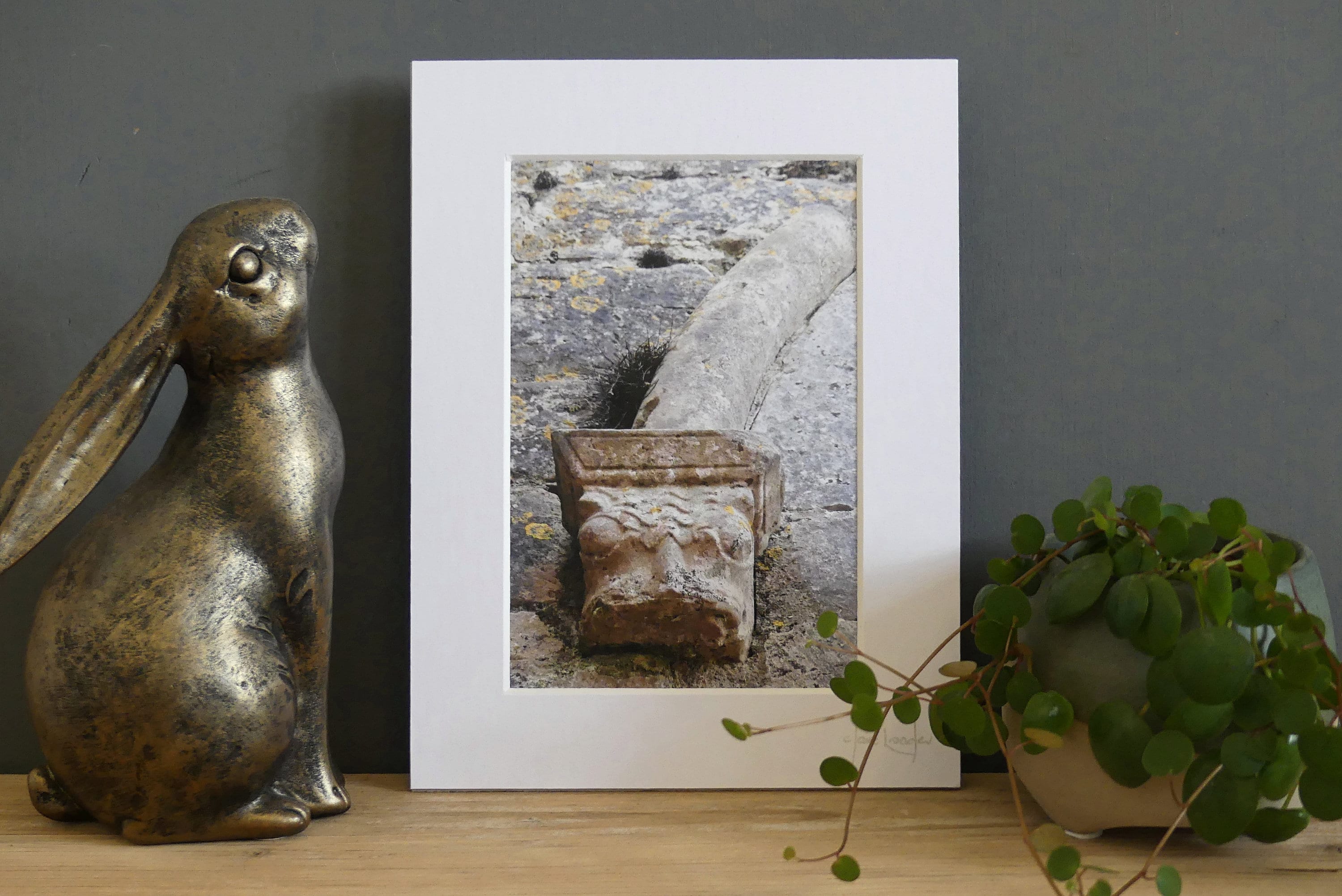 Serpent of Annaghdown Annaghdown Abbey County Galway Ireland Medieval ...