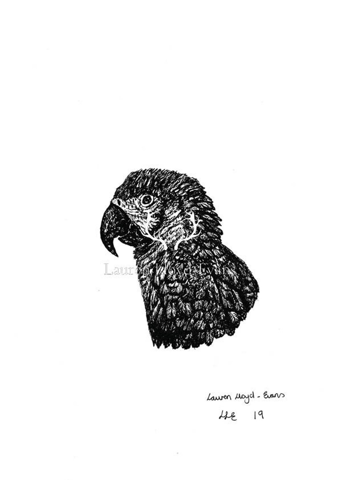 A4 Mounted Parrot Print - Etsy