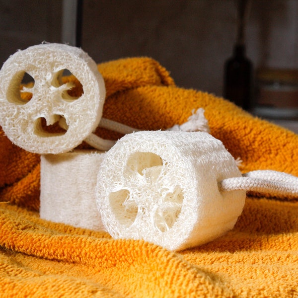Luffa Sponge - Etsy