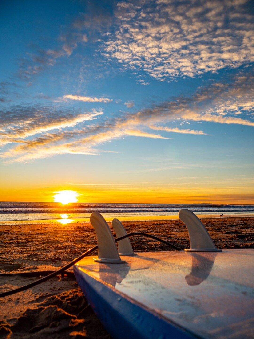Surfboard at Sunset. - Etsy