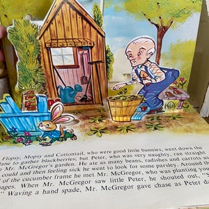 Vintage Children’s Pop up Book Peter Rabbit - Etsy