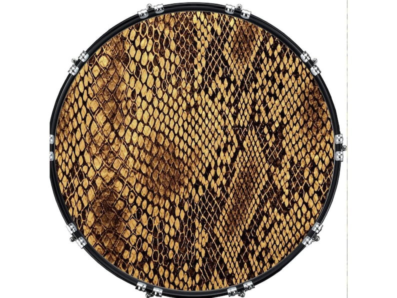 Custom Aquarian Bass Kick Drum Head Front Drumskin Snake Skin - Etsy