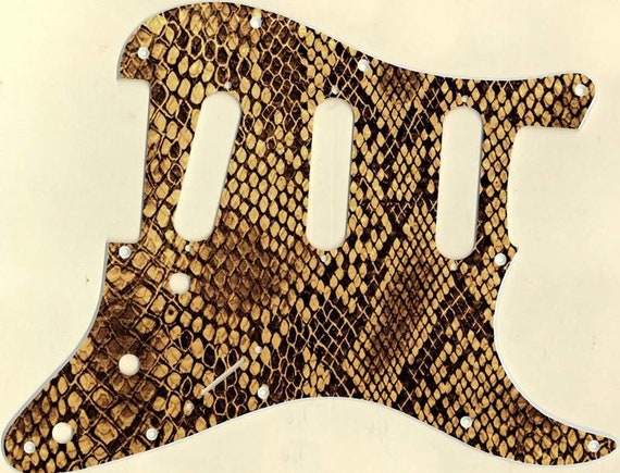Custom Graphical Pickguard to Fit Fender Strat Stratocaster | Etsy
