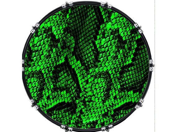 Custom Aquarian Bass Kick Drum Head Front Drumskin Snake Skin | Etsy