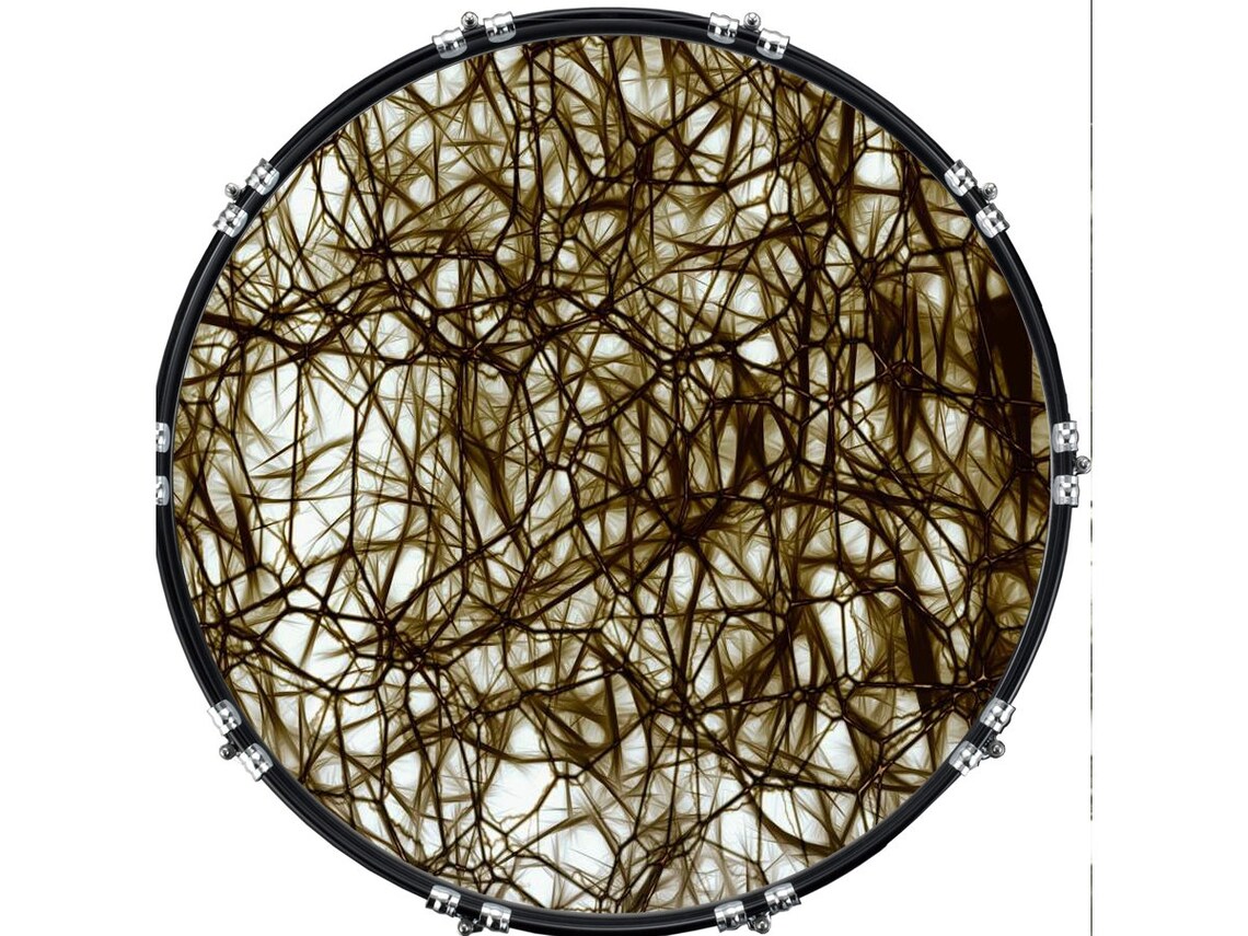 Custom Aquarian Bass Kick Drum Head Front Drumskin Network 4 - Etsy