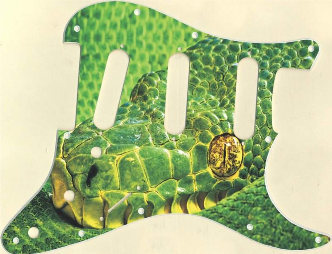 Custom Graphical Pickguard to Fit Fender Strat Stratocaster Snake GN - Etsy