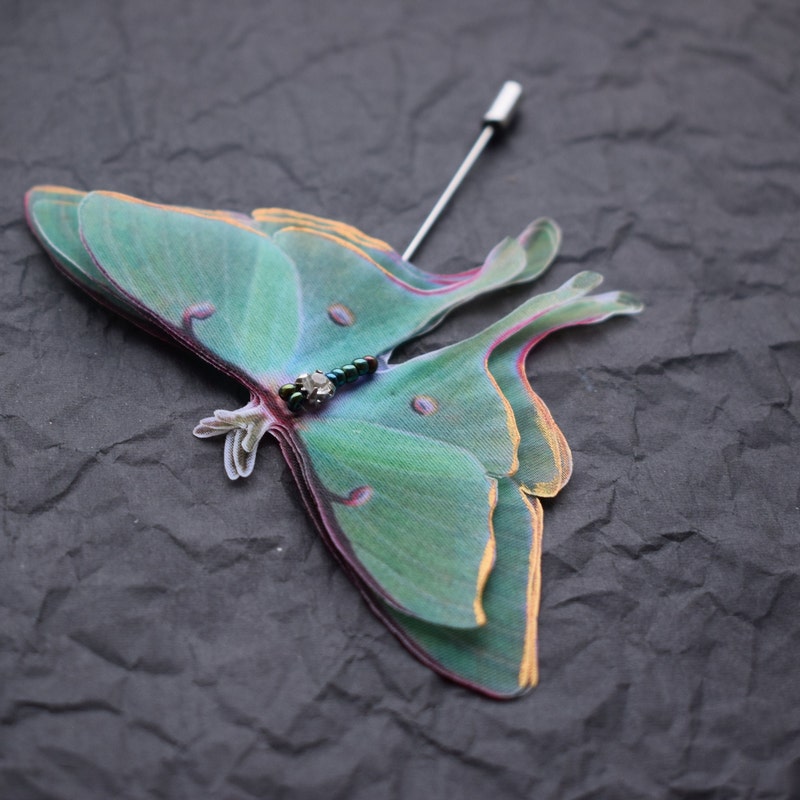 Realistic Luna Moth Pin - Etsy Canada