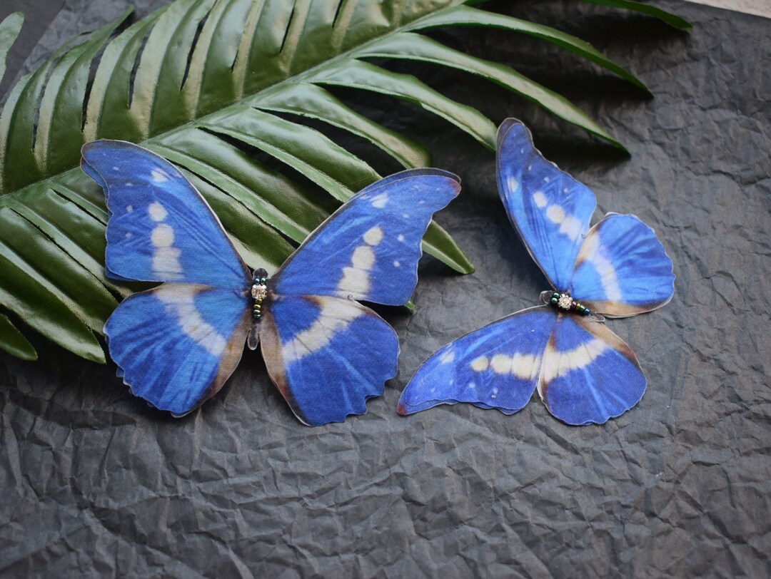 The Genus Morpho Silk Butterfly Jewelry - Morpho Cypris Bright Blue ...