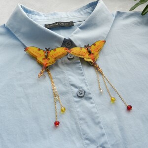 Silk Moth Butterfly Collar Clip Pins With Chains Collar | Etsy