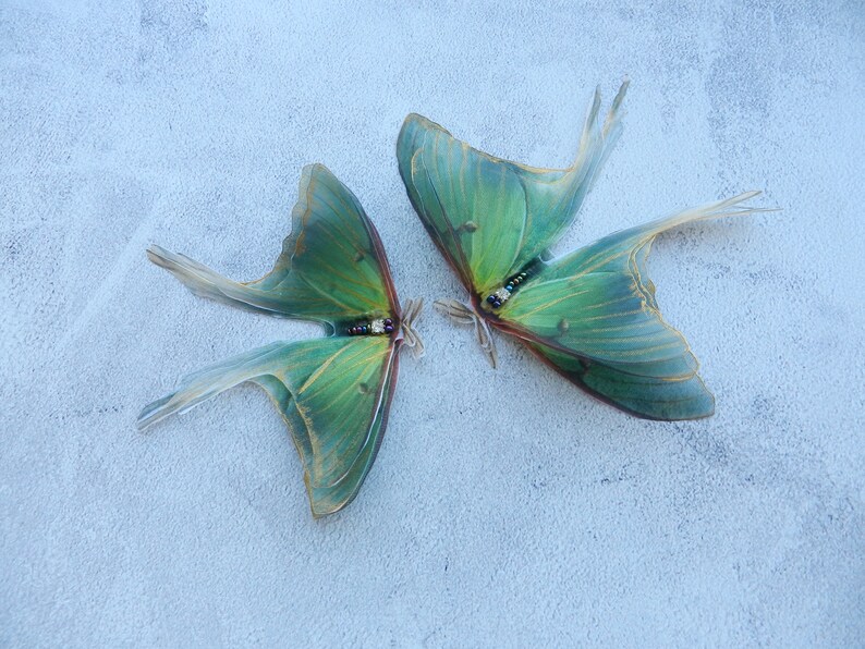 Silk Luna Moth Extra Large Lapel Pin Brooch 3d Three-layered | Etsy