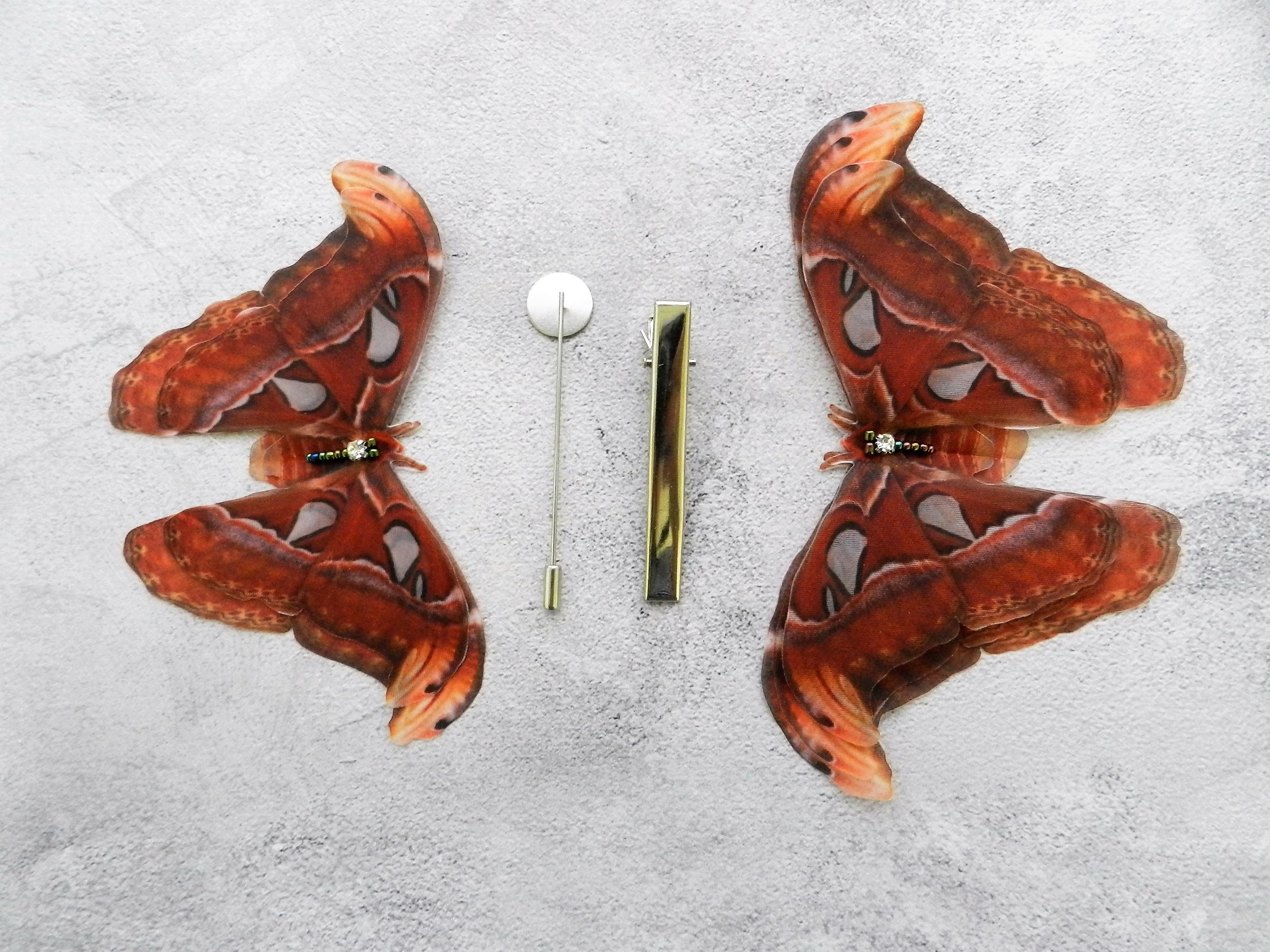 Silk Atlas Moth Extra Large Hair Clips or Lapel Pins With 3d - Etsy