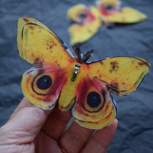 Automeris Silk Butterfly Large Side Hair Clips Yellow Lightweight ...