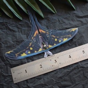 Isis Moon Moth Unique Silk Butterfly Jewelry - Hair Clip or Brooch ...