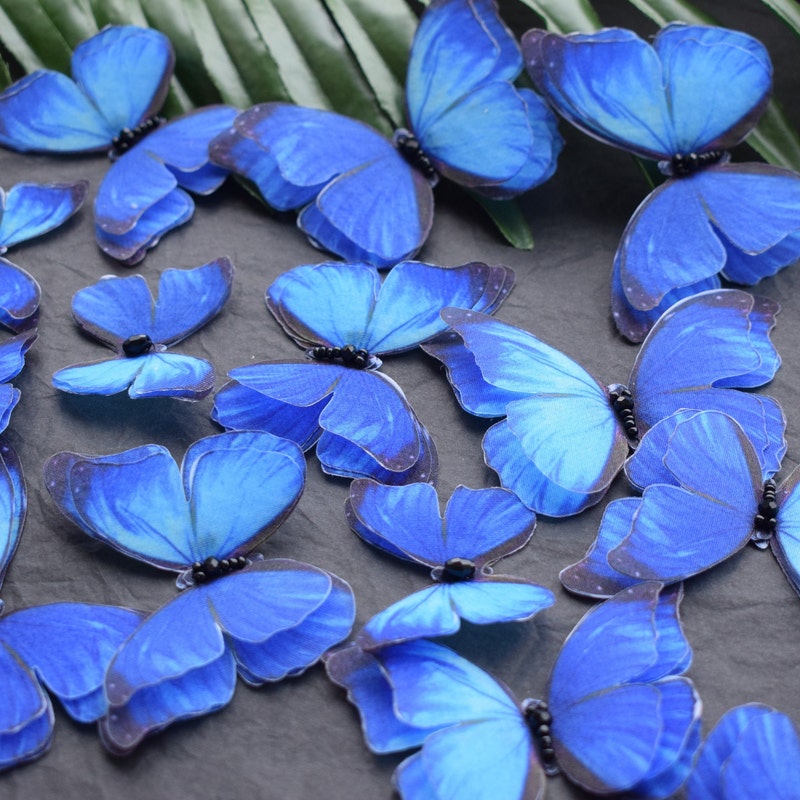 Blue Butterfly - Etsy