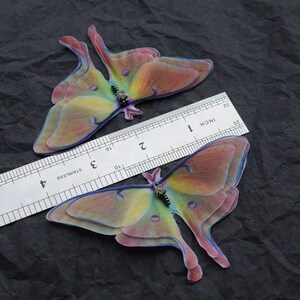 Silk Luna Moth Hair Clips With 3d Double-layer Wings - Hair Accessories ...