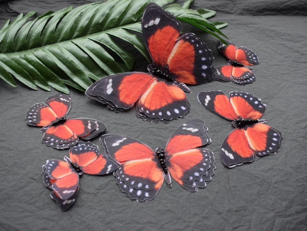 Euphaedra Eleus Butterflies Silk Extra Large Pins or Dress Applique Sew ...