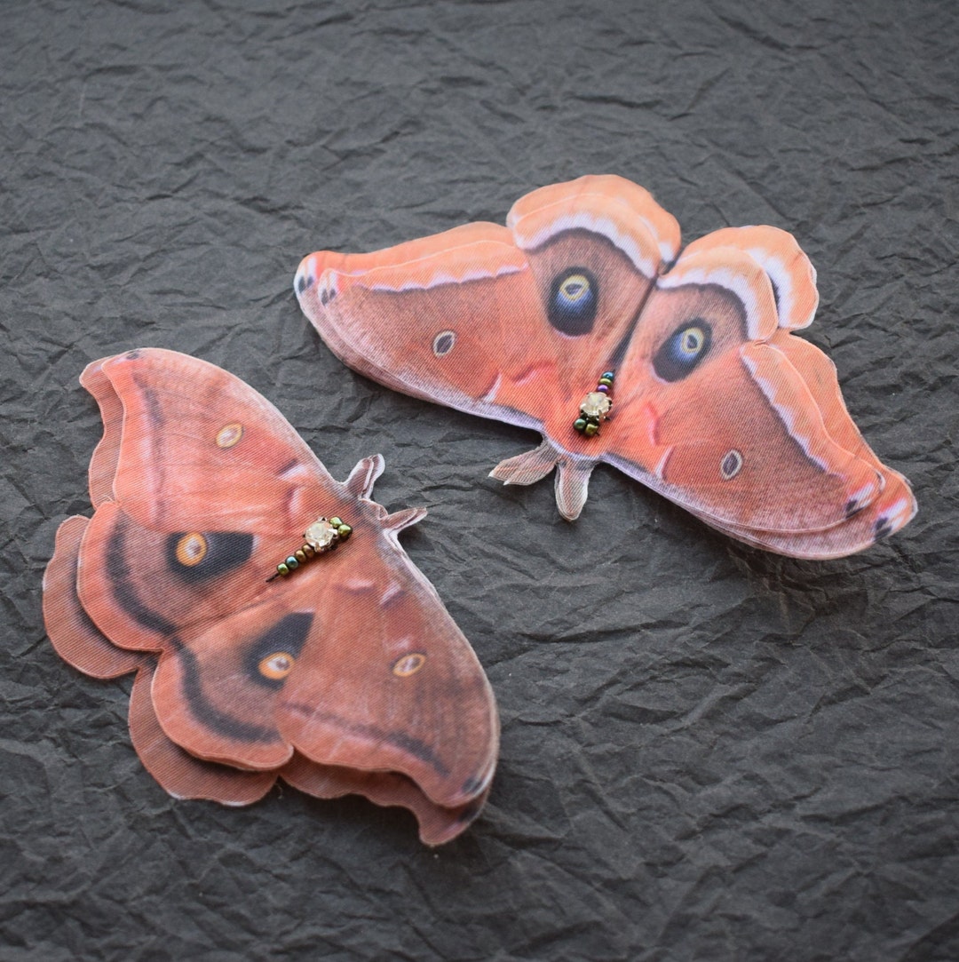 Silk Polyphemus Moth Brown Butterfly Layered Wings Hair Clips or Lapel ...