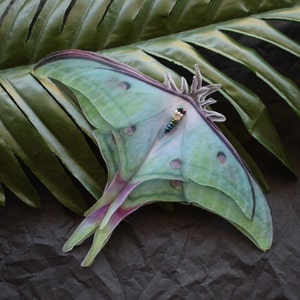Tender Silk Luna Moth Hair Clips With 3d Moving Wings - Hair ...