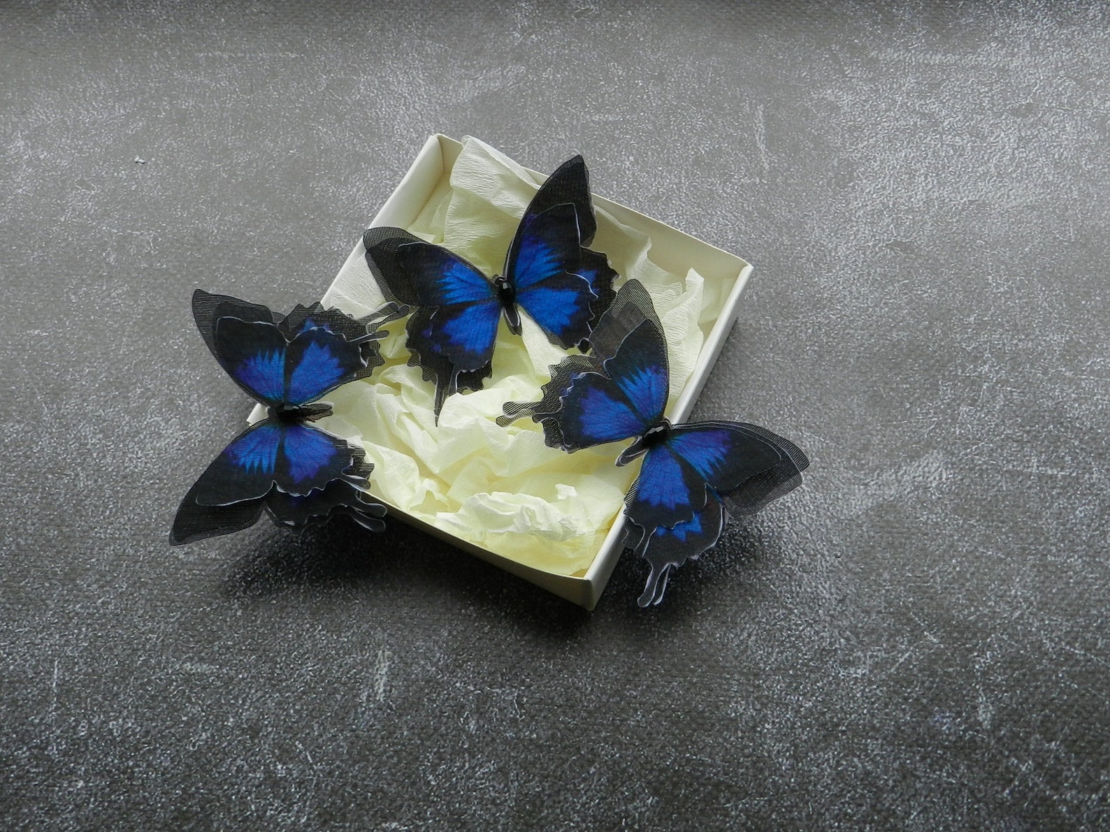 Butterfly wedding decor with blue and black wings and black | Etsy