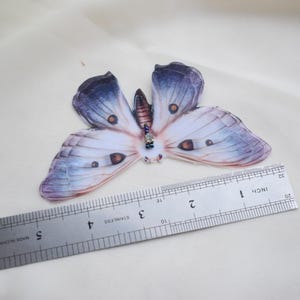 Ghostly Silk Moth Hair Clips or Lapel Pins With 3d Wings - Etsy