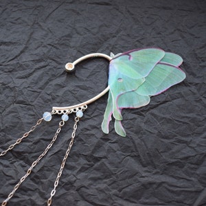 Luna Moth Ear Cuff No Piercing Butterflies Silk Long Ear Climber ...