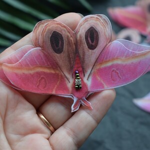 Silk Maple Moth Hair Pins or Clips 3d Layering Wings - Hair Jewelry for ...