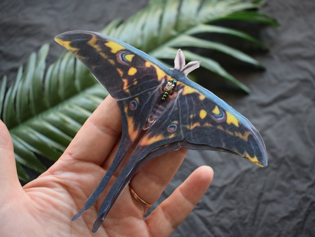 Isis Moon Moth Unique Silk Butterfly Jewelry Hair Clip or - Etsy