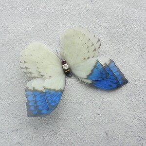Bridal Blue Butterfly Shoe Clips With Rhinestones - Etsy