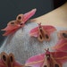 Silk Pink Maple Moth Brooch or Hair Clips Layering Wings - Jewelry for ...
