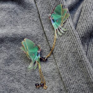 Silk Moth Butterfly Collar Clip Pins With Chains - Collar Brooch ...