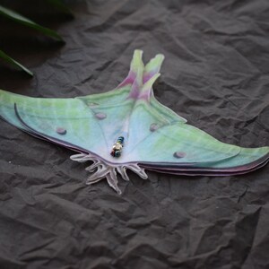 Tender Silk Luna Moth Hair Clips With 3d Moving Wings - Hair ...