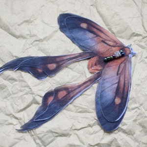 Silk Semioptila Moth Hair Clips With 3d Layeedr Wings - Hair ...
