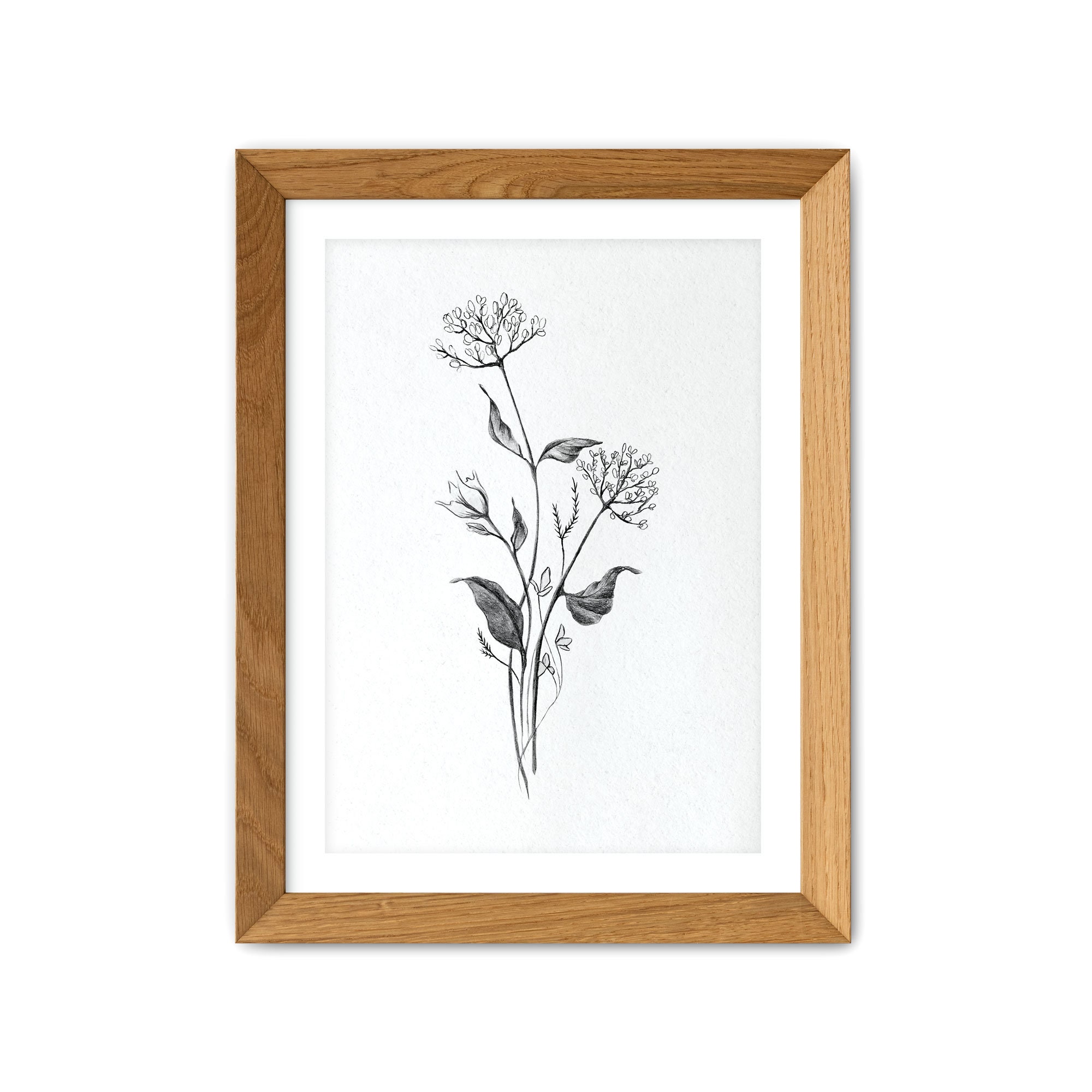 Botanical Spring Flower Bouquet - Modern Minimal Drawing of Simple ...