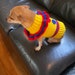 Clown Dog Sweater / Halloween Costume Available in 4 Sizes - Etsy