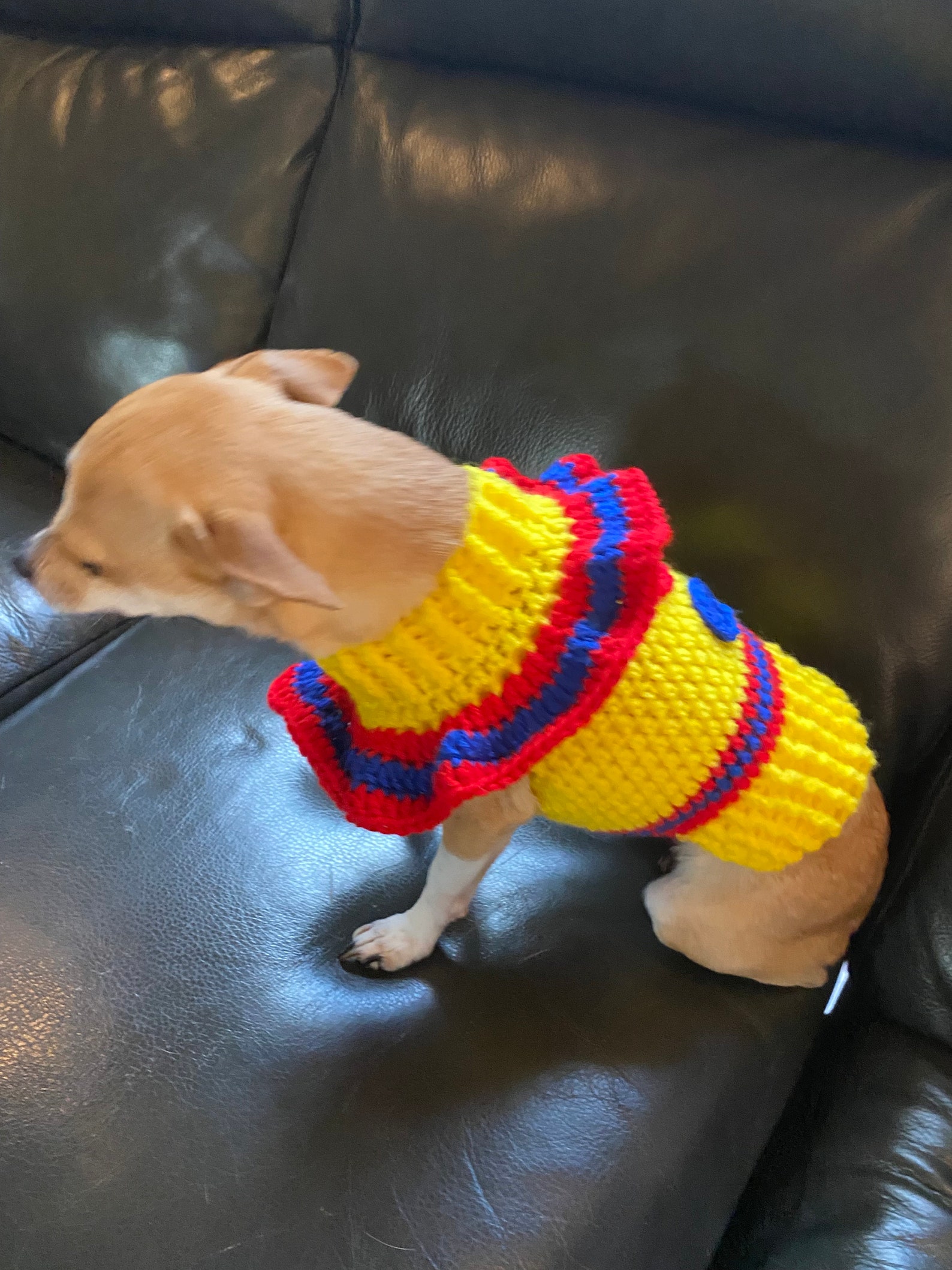 Clown Dog Sweater / Halloween Costume Available in 4 Sizes - Etsy