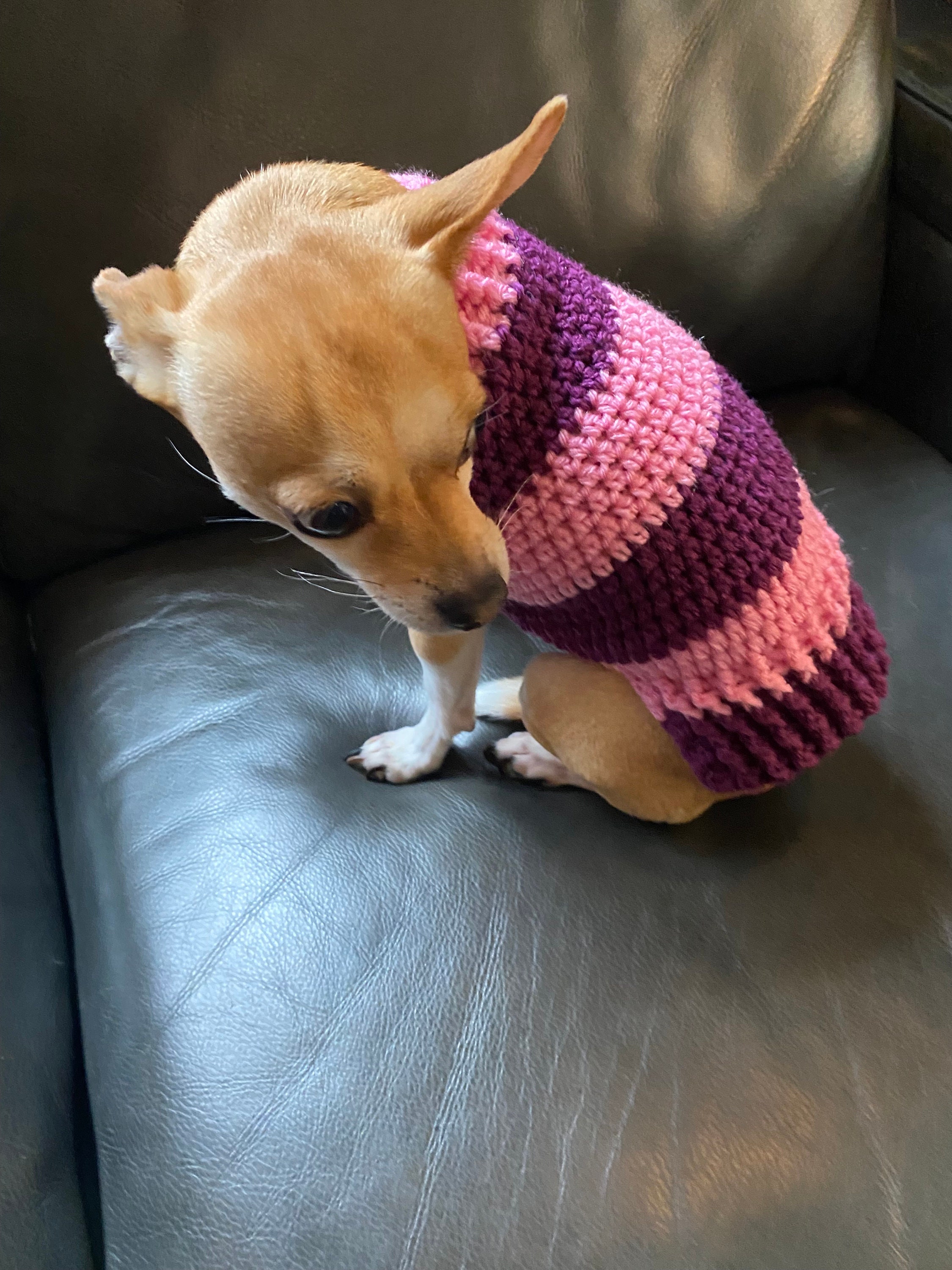 Striped Dog Sweater in Fun Colors Available in 4 Sizes - Etsy