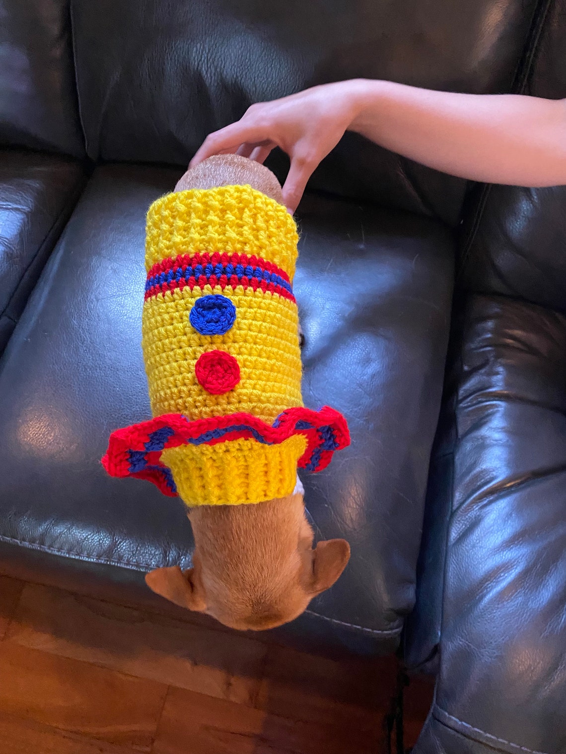 Clown Dog Sweater / Halloween Costume Available in 4 Sizes - Etsy