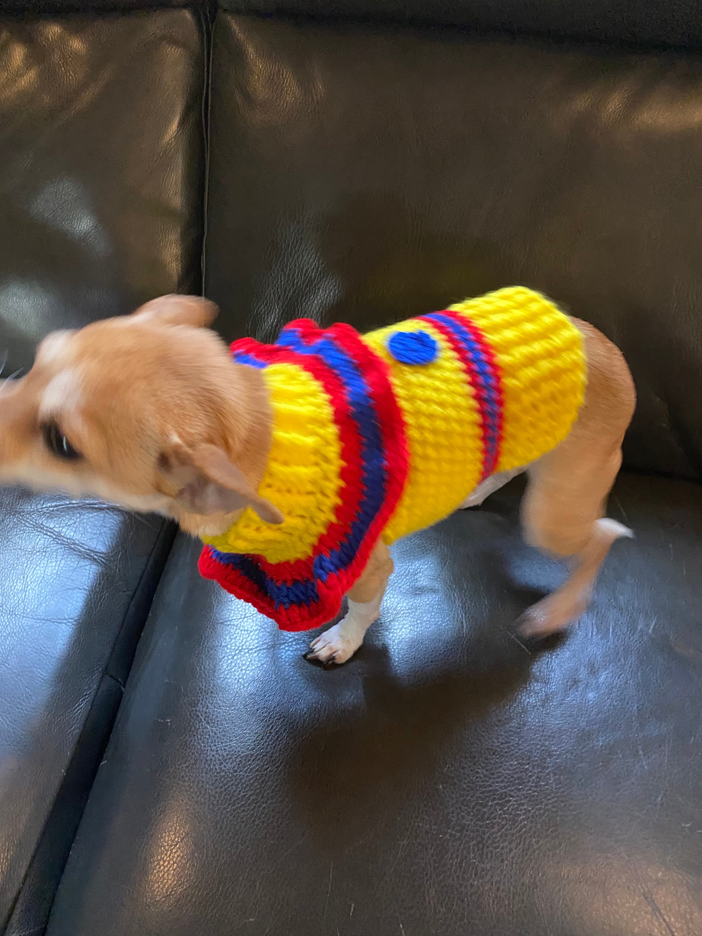 Clown Dog Sweater / Halloween Costume Available in 4 Sizes - Etsy