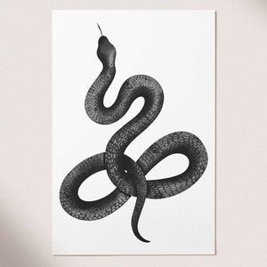 Printable Wall Art, Living Room Snake Wall Art Print, Boho Art Print ...
