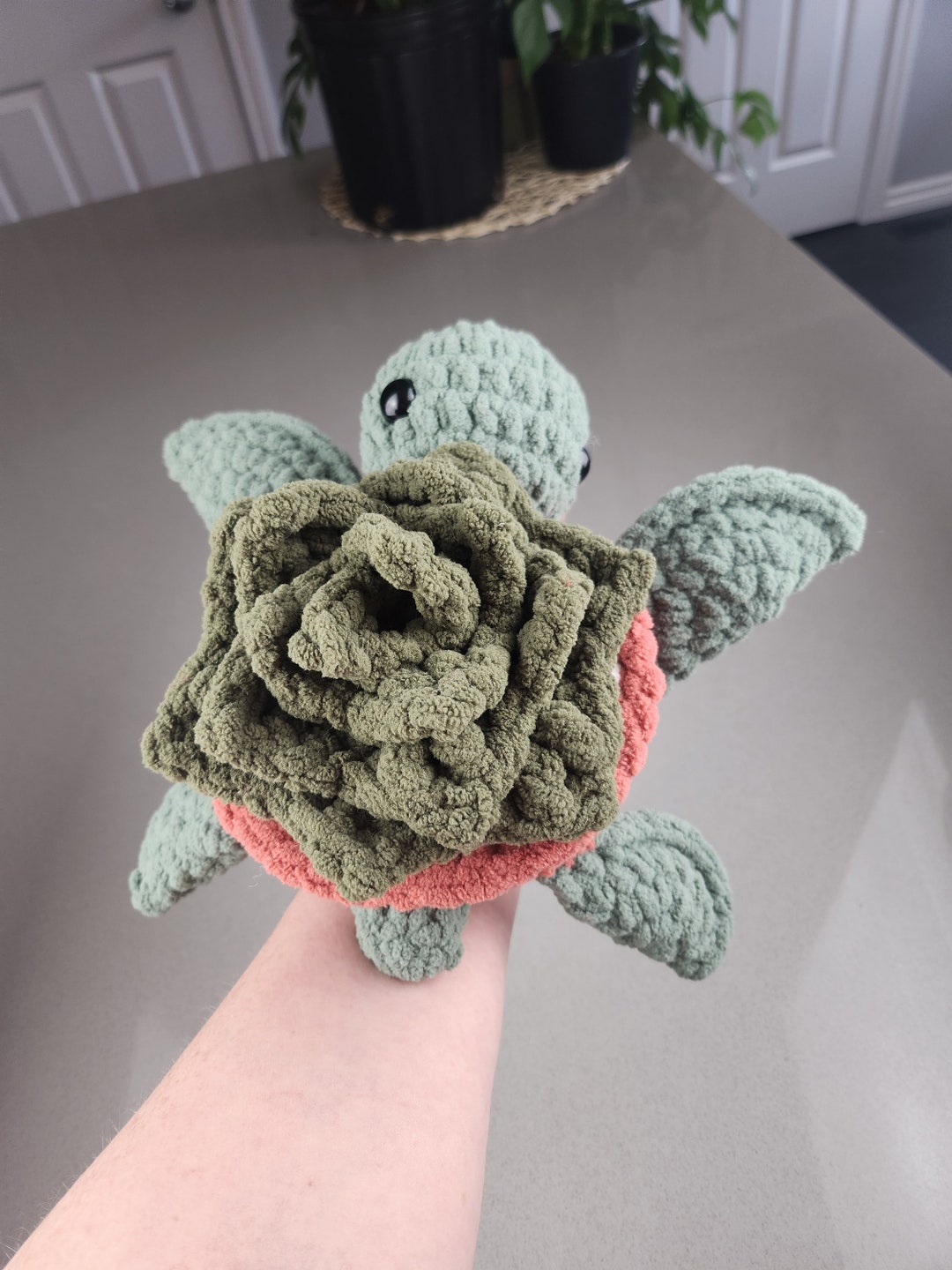 Green Turtle Succulent Plushie Plant Turtle Shelf Decor - Etsy