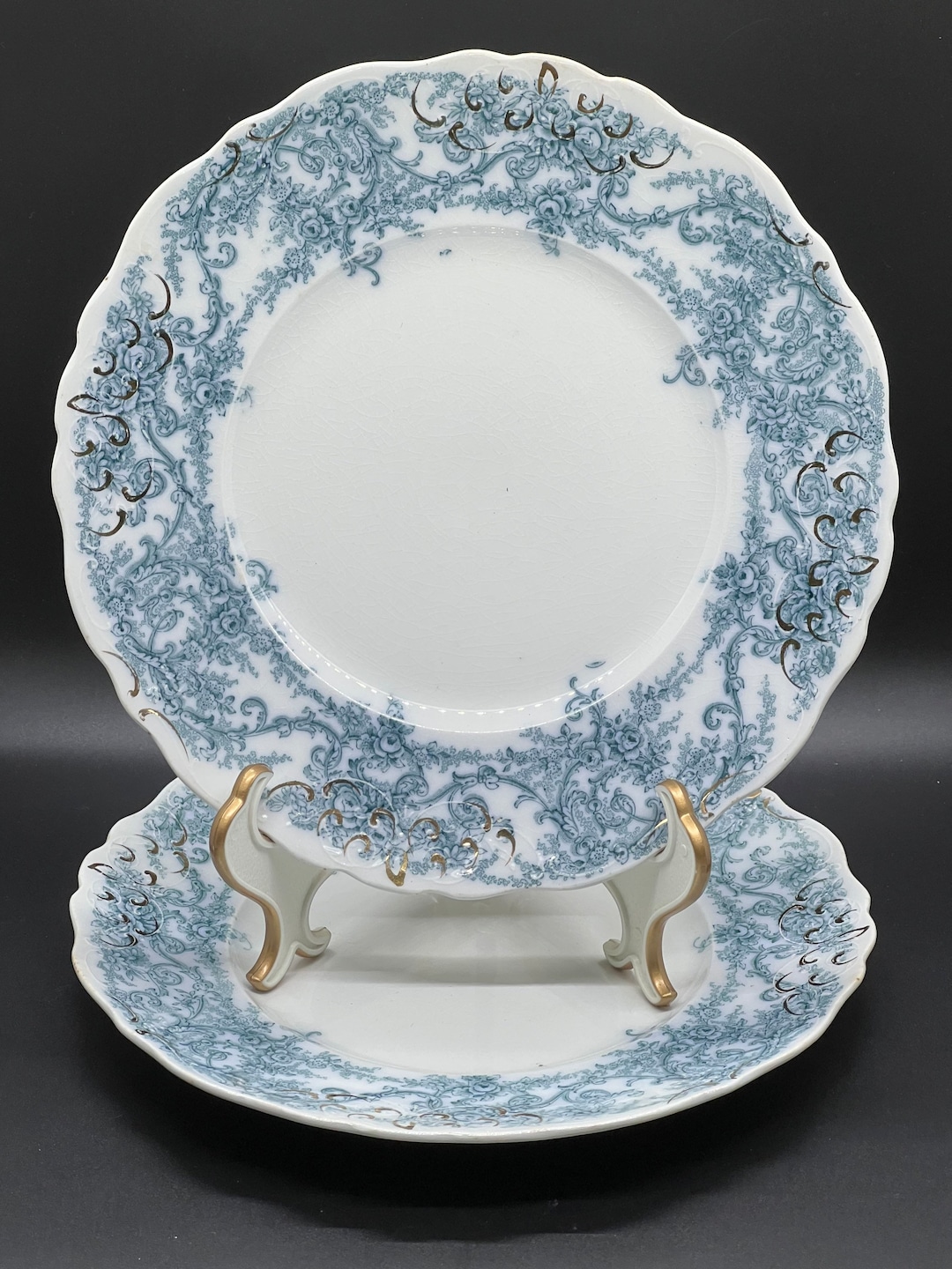 Two Rare 1890's Vintage Rochester J & C Meakin Plates 9" Plates - Etsy