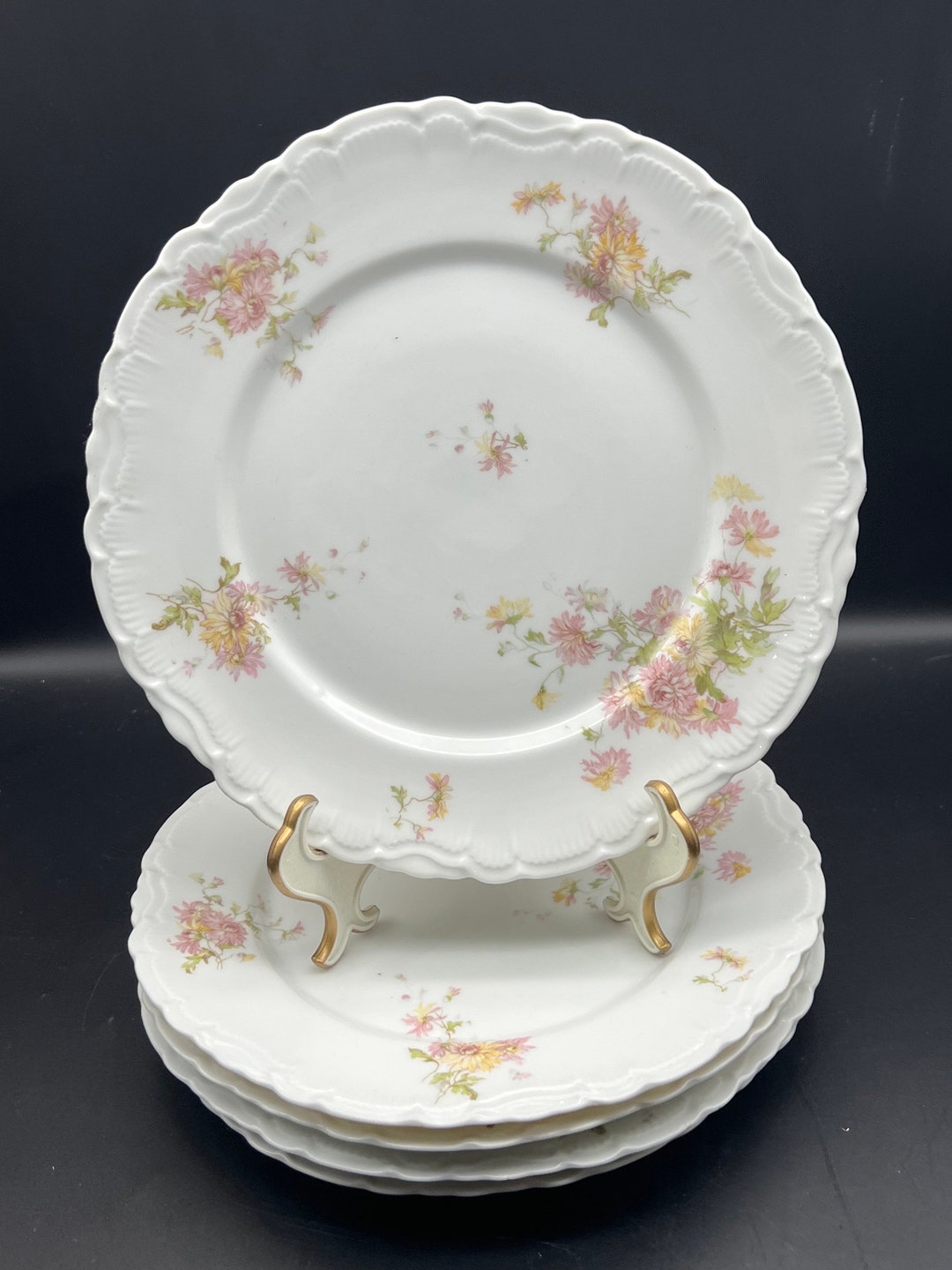 Leonard Vienna Austria Floral Dinner Plates 9.75”- Set of 5 Vienna ...