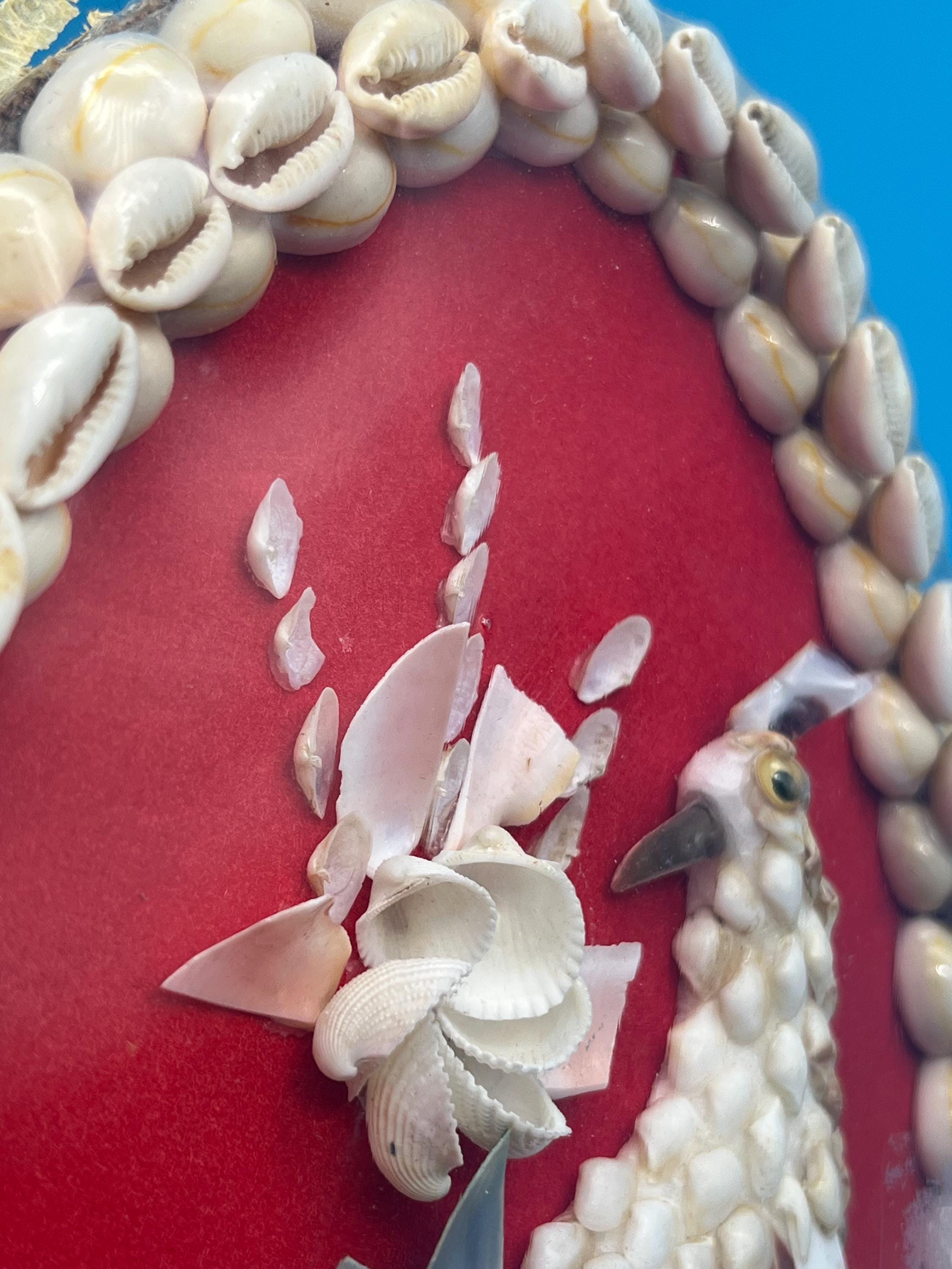 Mid Century Seashell Peacock Wall Art - Vintage 1960s Oval Shell Bird ...