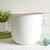 Vintage White Enamel Slop Bucket; White & Red Waste Pail; Enamelware ...