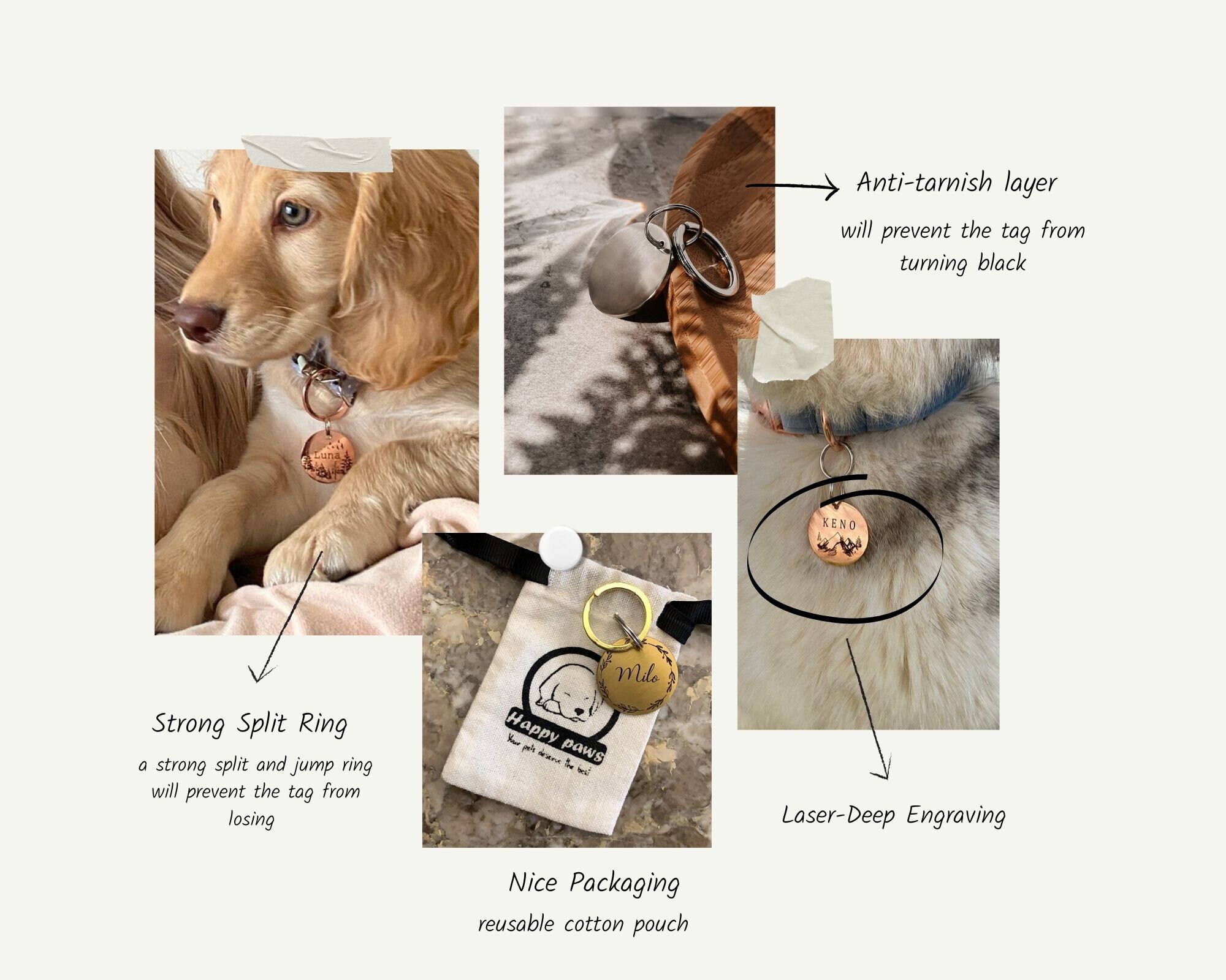 Custom ID Tags for Dogs & Cats Charlie Pet Collar ID Dog | Etsy