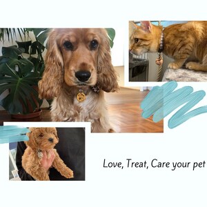 Custom ID Tags for Dogs & Cats Charlie Pet Collar ID Dog - Etsy