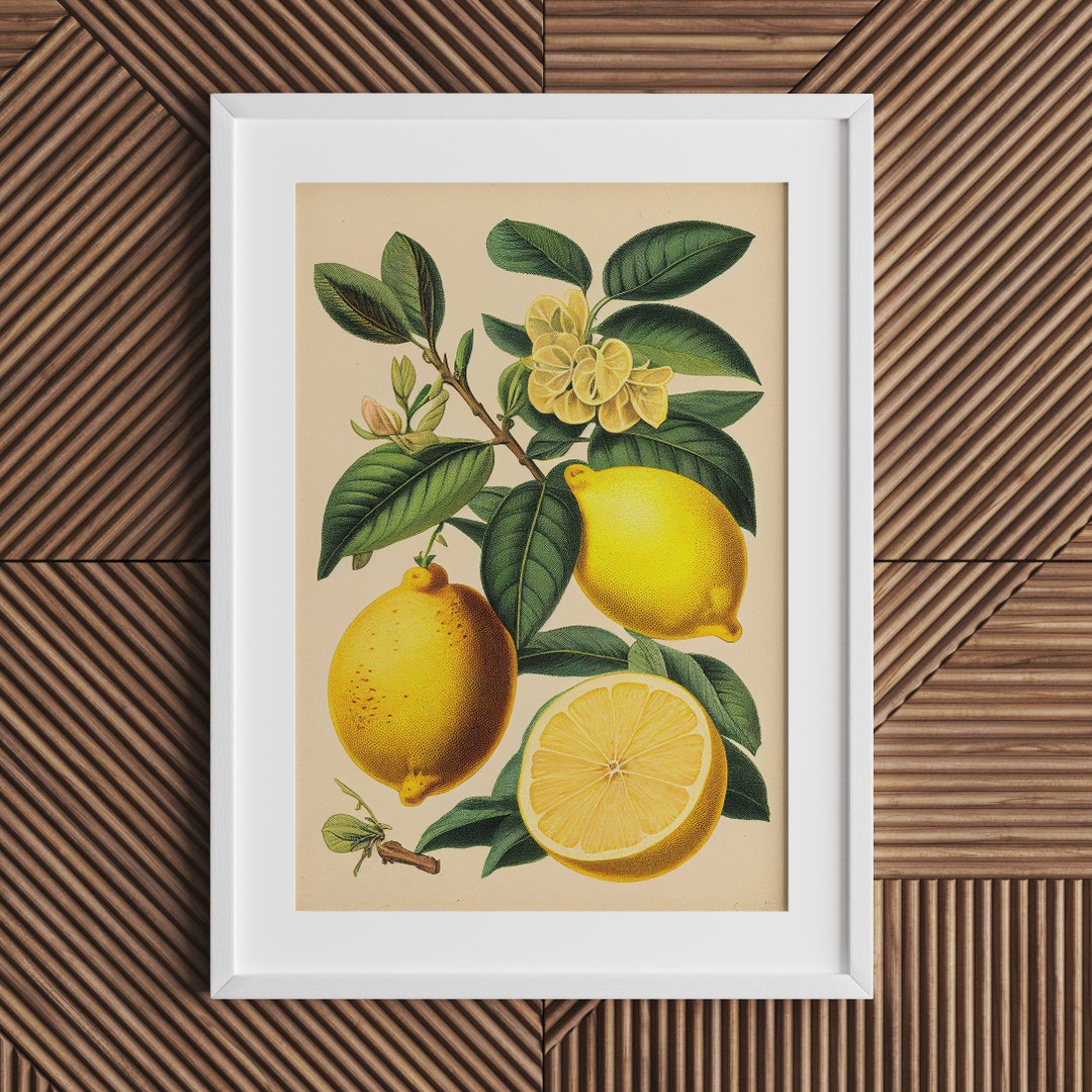Lemon • Art Print • Digital Download • Limón, Citron, Zitrone, Limão ...